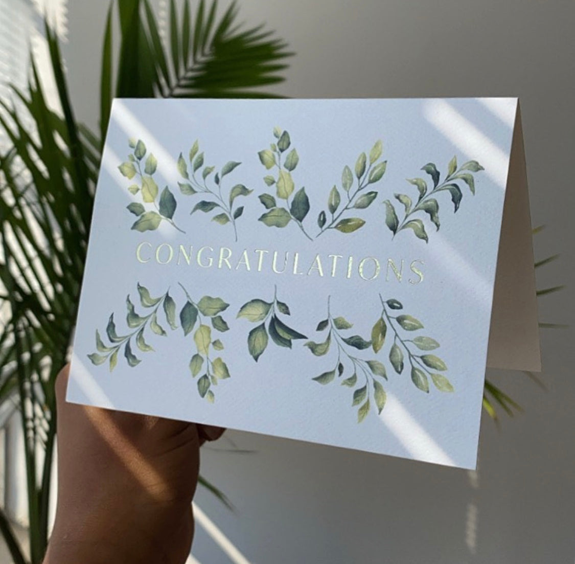 Our Aya /Netflix Collaboration.